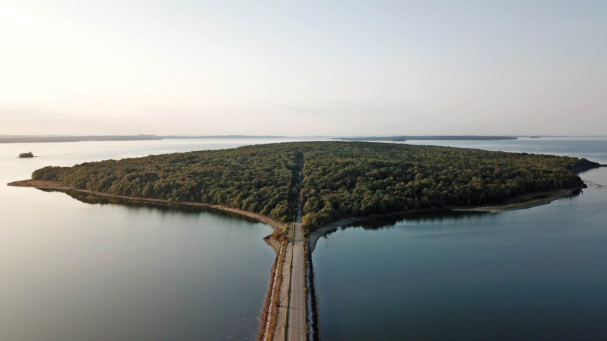 Alliance for Sears Island